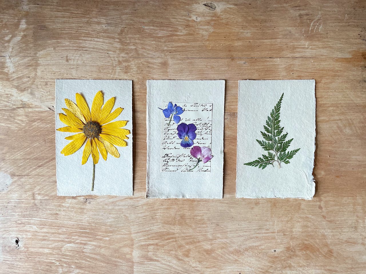 15 Simple Craft Activities for Seniors That Boost Memory & Joy ...